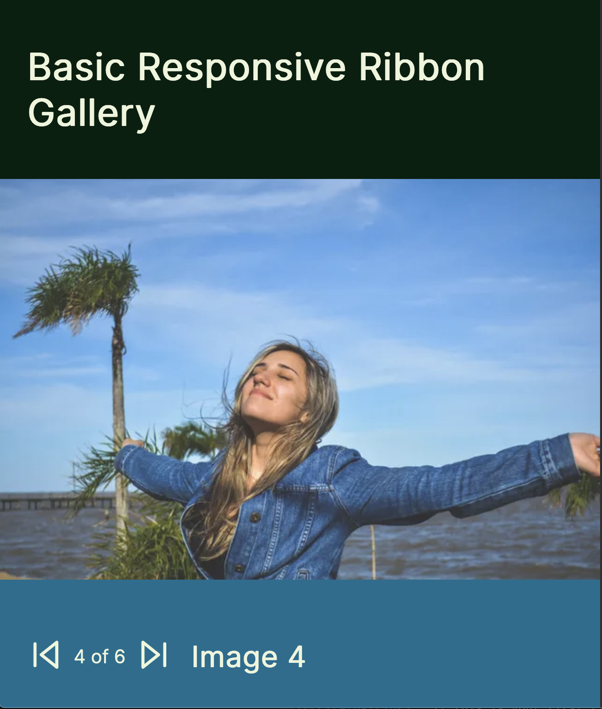 Simple Svelte Responsive Image Gallery | Rodney Lab